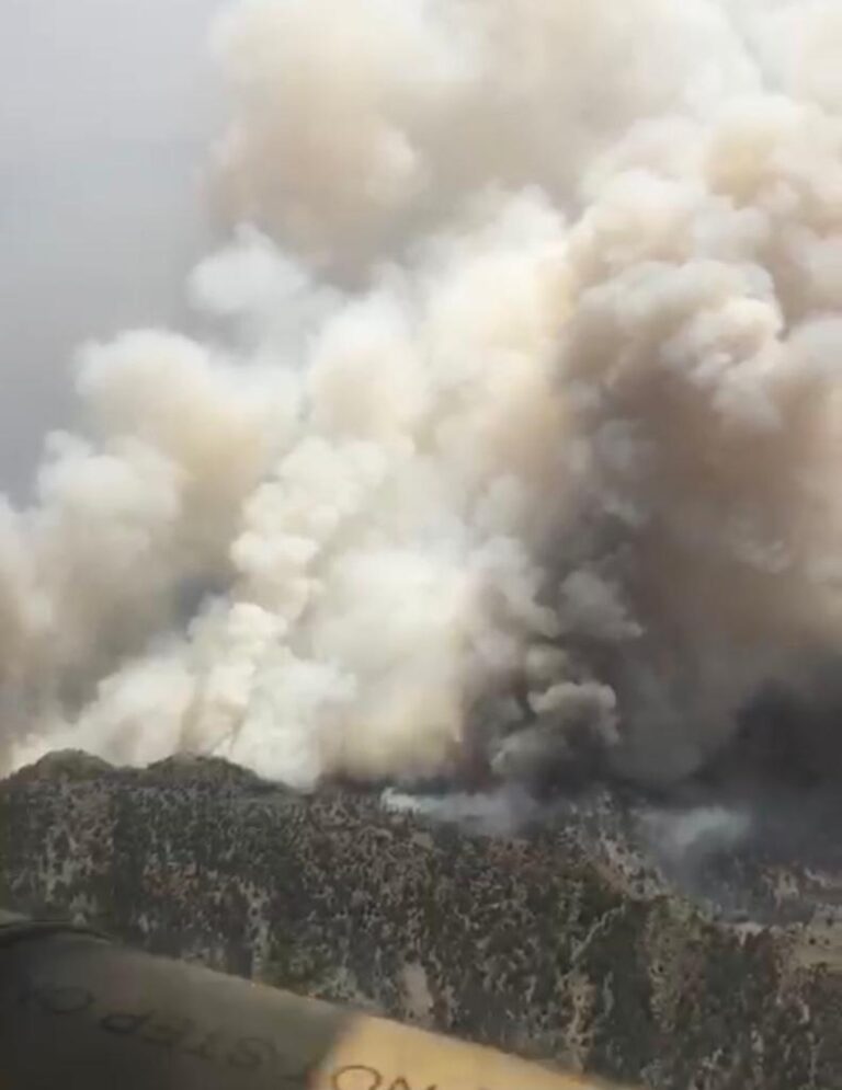 Helicopters arrive in Musakhail, Sherani to extinguish forest fire